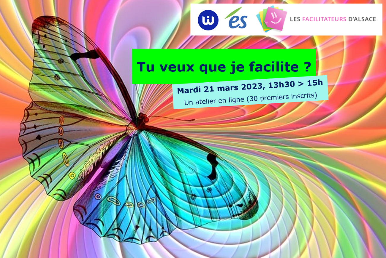 21 3 23 Tu Veux Que Je Facilite Les Facilitateurs 21-3-23-tu-veux-que-je-facilite-les-facilitateurs